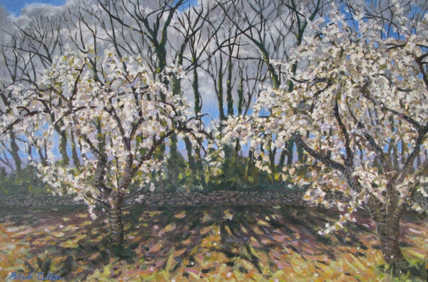 'Two Cherry Trees Near Bonnieux, Provence' by Patrick Cullen – The ...